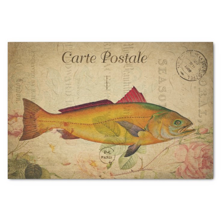 Ephemera Colorful Salmon Bass Fish Decoupage Tissue Paper | Zazzle