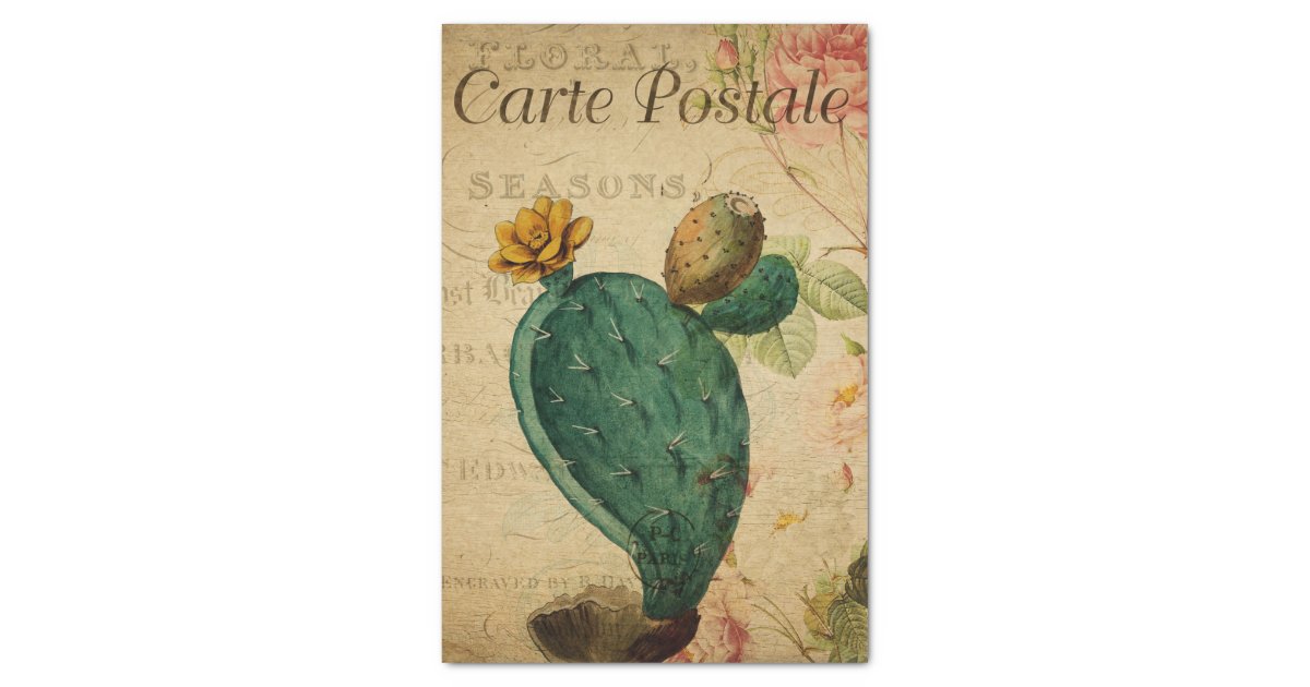 Ephemera French Postcard Cacti Plant Decoupage Tissue Paper | Zazzle