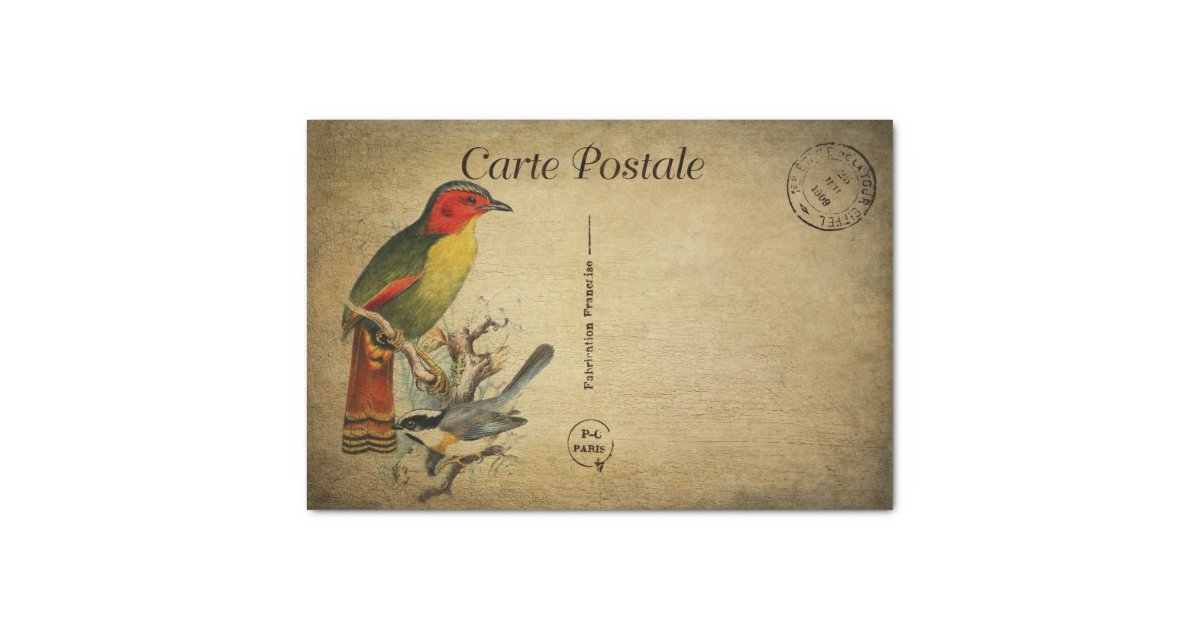 Ephemera French Postcard Colorful Birds Decoupage Tissue Paper | Zazzle