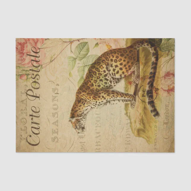 Ephemera French Postcard Leopard Decoupage Tissue Paper | Zazzle