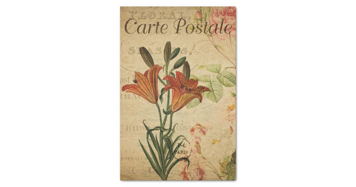 Ephemera French Postcard Orange Lilly Decoupage Tissue Paper | Zazzle
