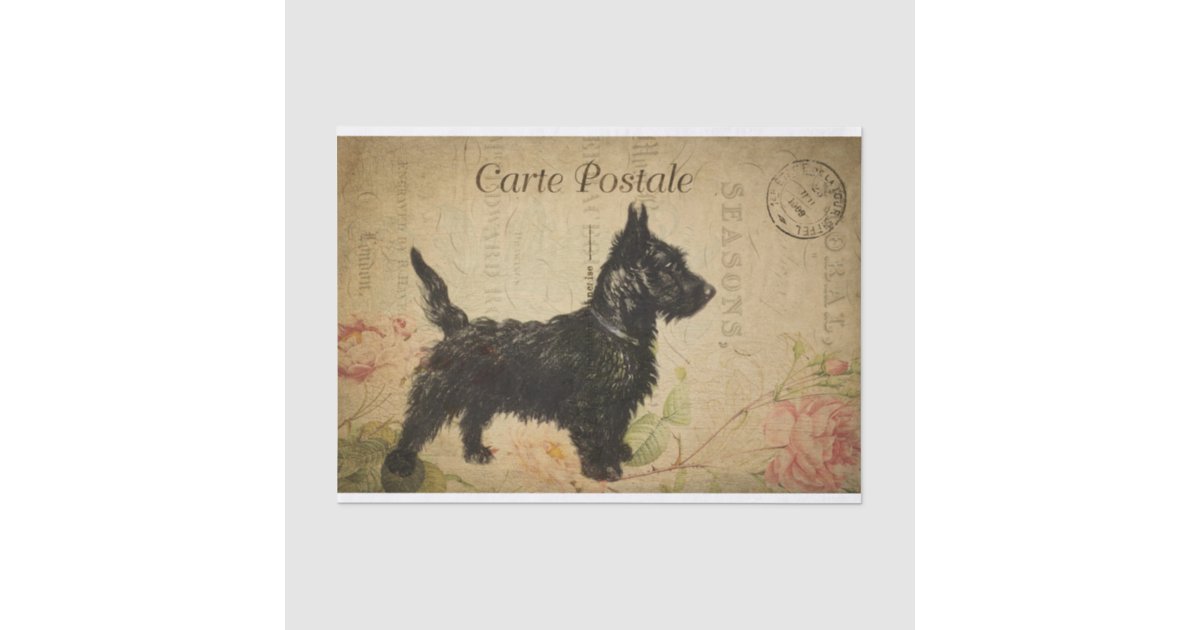 Ephemera French Postcard Terrier Dog Decoupage Tissue Paper | Zazzle