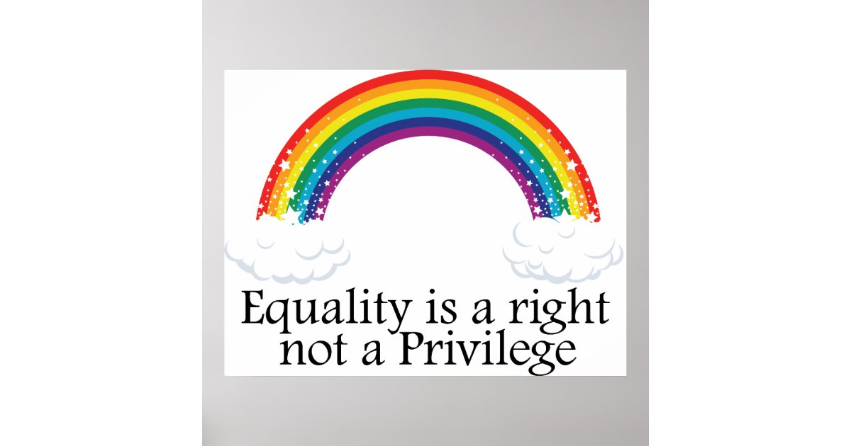 Equality is a right not a privilege poster | Zazzle