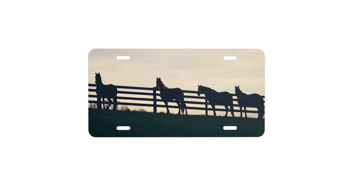 Equestrian Horses at the Pasture Fence License Plate | Zazzle