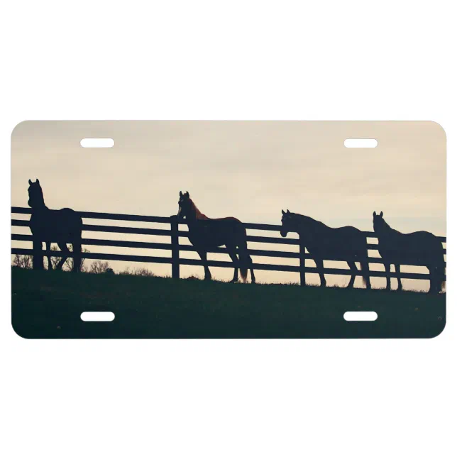 Equestrian Horses at the Pasture Fence License Plate | Zazzle