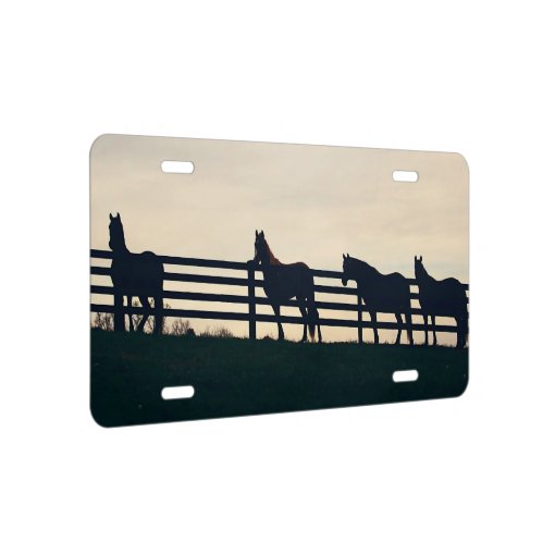 Equestrian Horses at the Pasture Fence License Plate | Zazzle