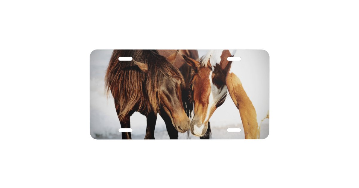 Equestrian Pony Love License Plate | Zazzle