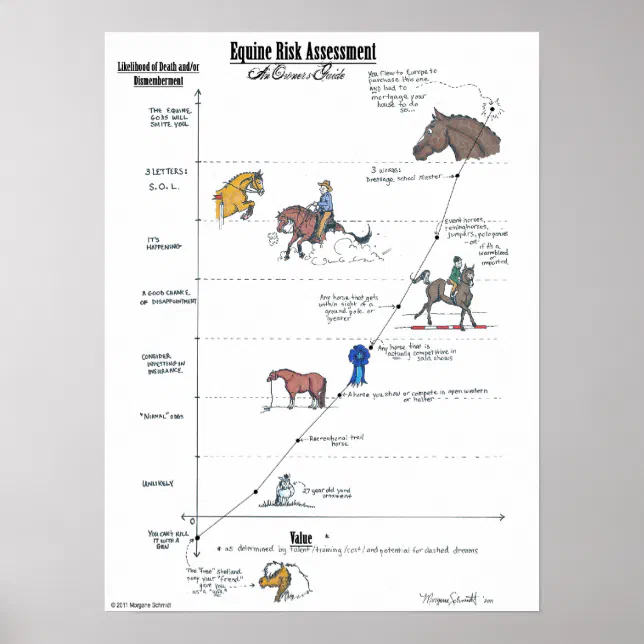 Equine Risk Assessment LARGE Poster | Zazzle