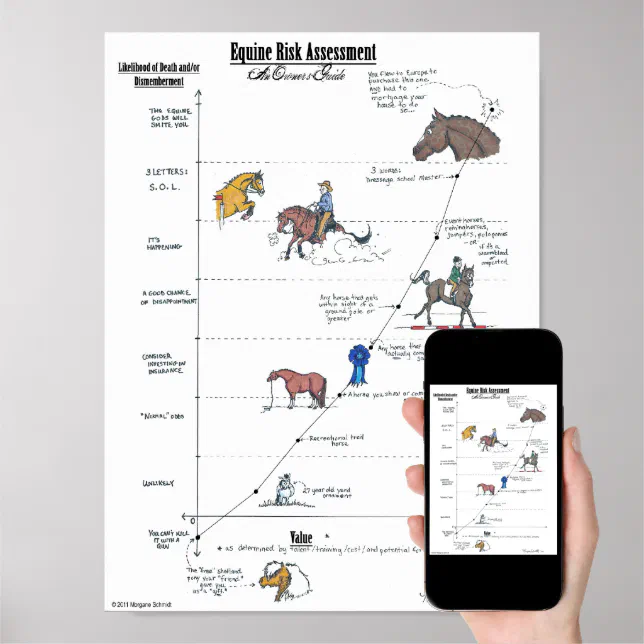 Equine Risk Assessment Mini-Poster Poster | Zazzle