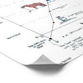 Equine Risk Assessment Mini-Poster Poster | Zazzle