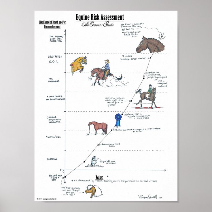 Equine Risk Assessment Mini-Poster Poster | Zazzle