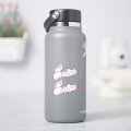Erica Decorative Name in Pink x2 Sticker | Zazzle