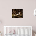 Ermine Poster | Zazzle