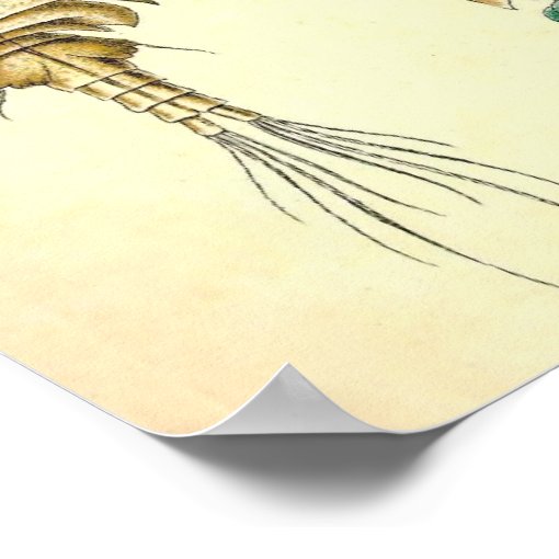 Ernst Haeckel - Copepoda Poster | Zazzle