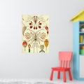 Ernst Haeckel - Copepoda Poster | Zazzle