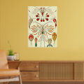 Ernst Haeckel - Copepoda Poster | Zazzle