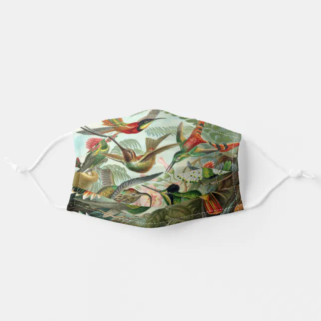 Ernst Haeckel Hummingbirds Vintage Bird Chart Adult Cloth Face Mask ...