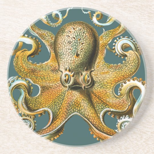 Ernst Haeckel’s Octopus Coaster | Zazzle.com