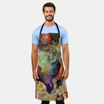 Ernst Haeckel Sea Anemones Marine:Actiniae Apron | Zazzle