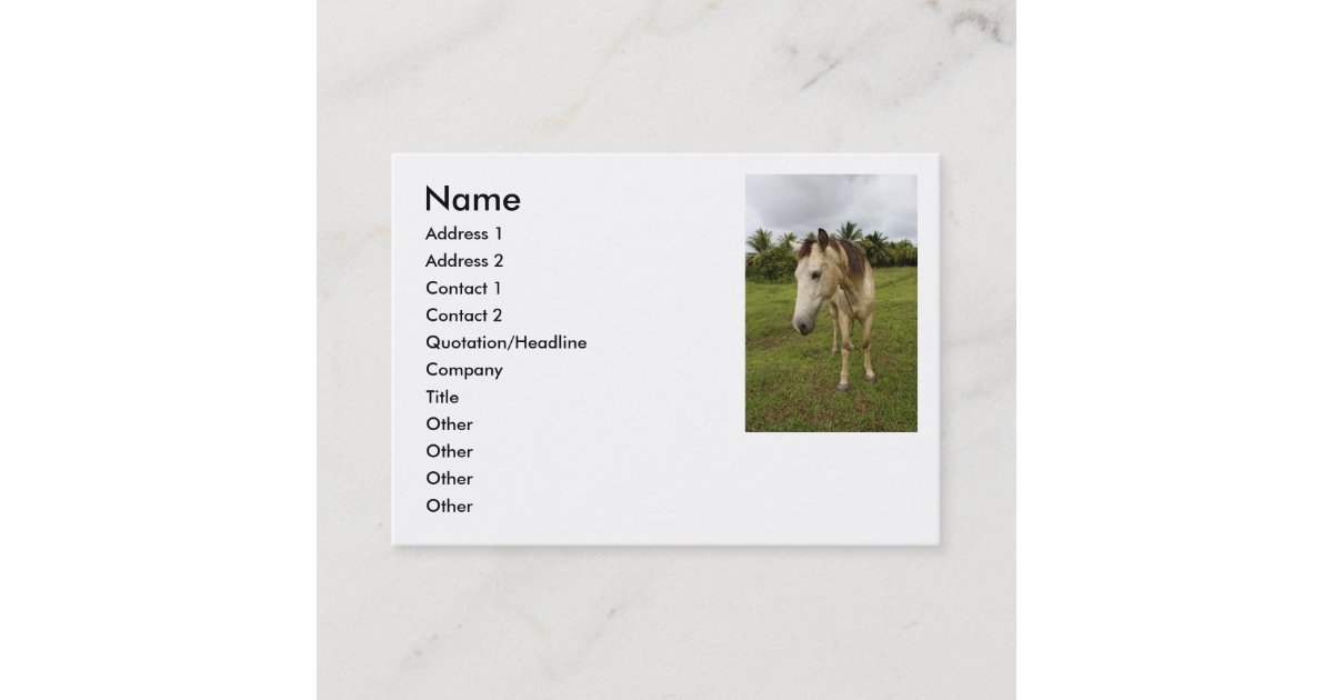 Errand, Business Card | Zazzle