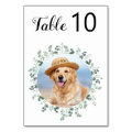 Eucalyptus Greenery Modern Dog Photo Pet Wedding Table Number | Zazzle