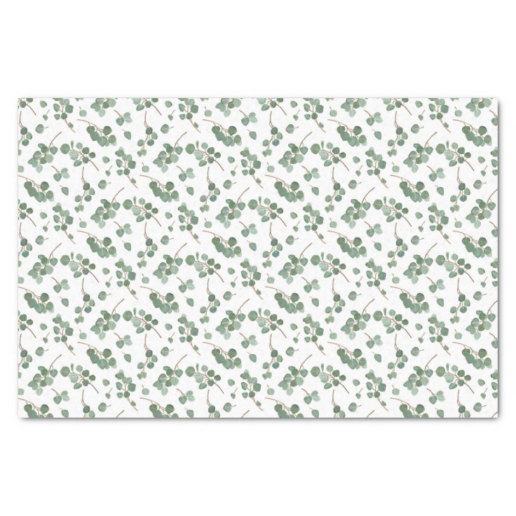Eucalyptus Silver Dollar Tree Foliage Pattern Tissue Paper | Zazzle