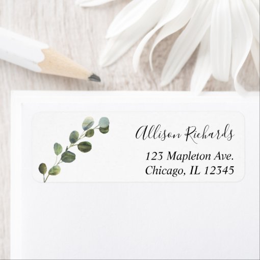 Eucalyptus simple modern greenery label | Zazzle