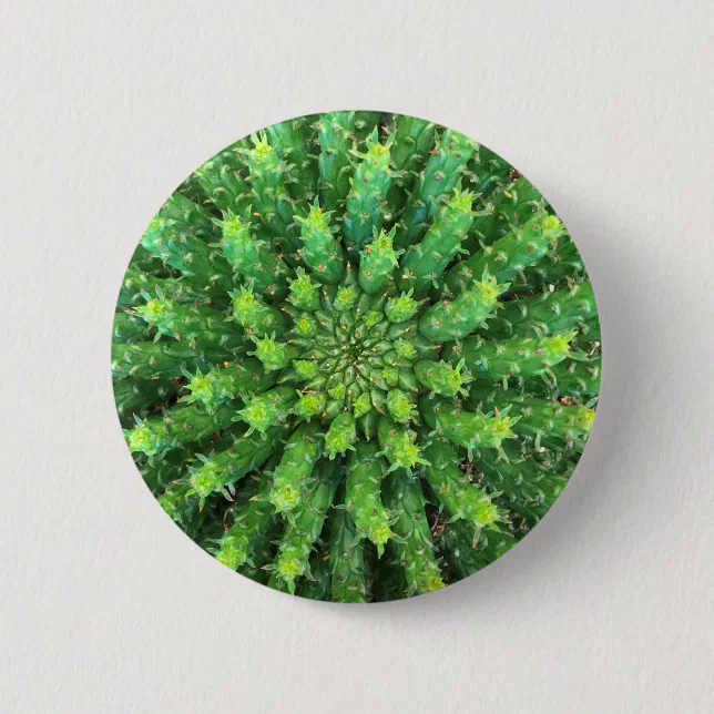 Euphorbia Medusa Green Cactus Succulent Button | Zazzle