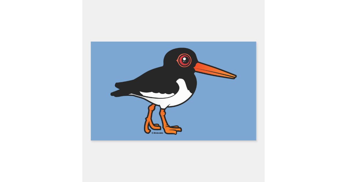 Eurasian Oystercatcher Rectangular Sticker | Zazzle