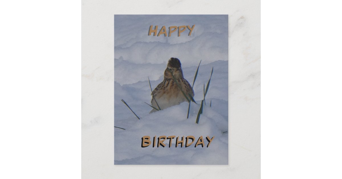 Eurasian Skylark Bird Cust. Text Birthday Postcard | Zazzle