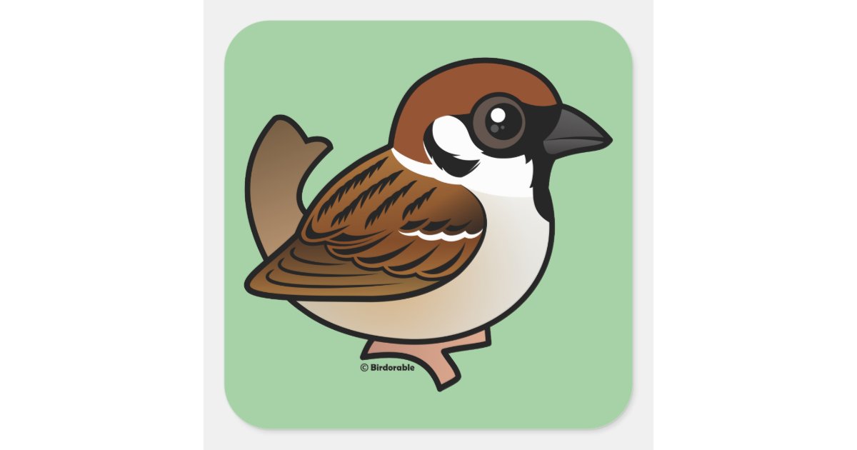 Eurasian Tree Sparrow Square Sticker | Zazzle