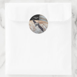 Europa Clipper Mission Spacecraft Classic Round Sticker | Zazzle