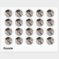 Europa Clipper Mission Spacecraft Classic Round Sticker | Zazzle