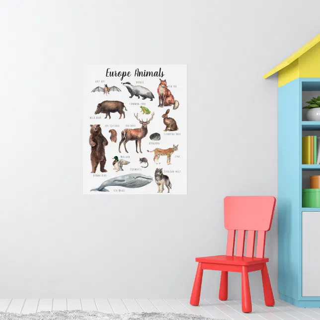 Europe Animals | Education Learning Classroom Poster | Zazzle