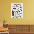 Europe Animals | Education Learning Classroom Poster | Zazzle