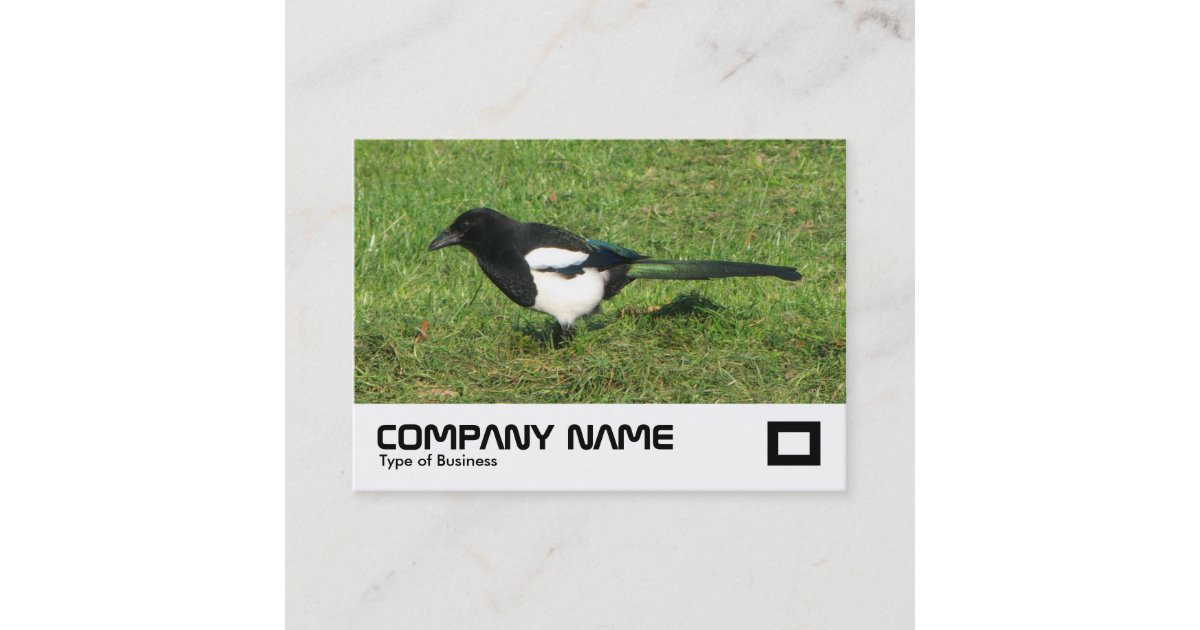 European Magpie Business Card | Zazzle