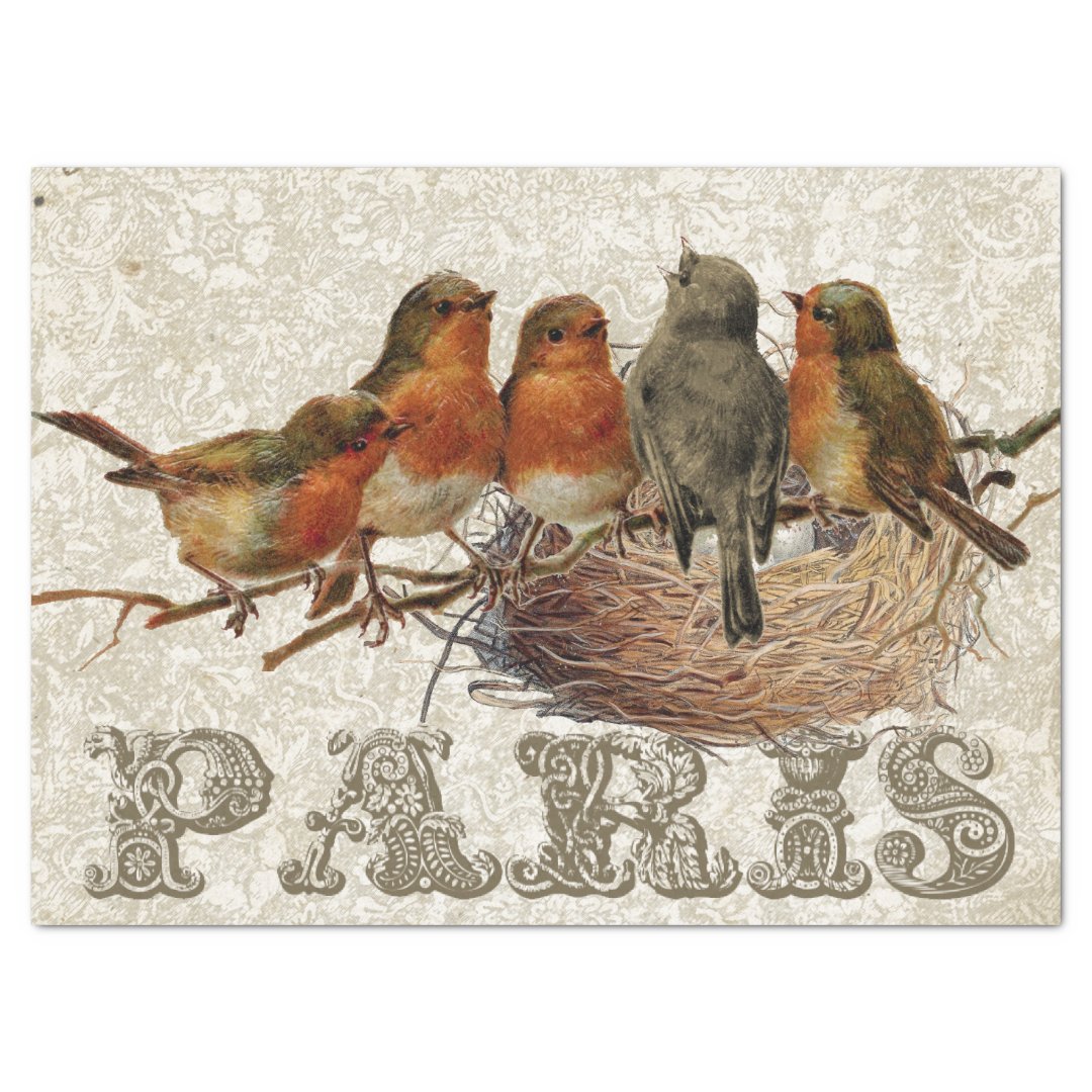 European Robin Birds Nest Paris Decoupage Tissue Paper | Zazzle