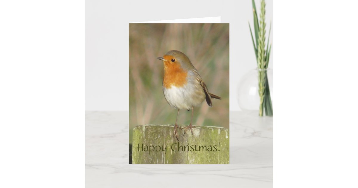 European Robin Christmas Card | Zazzle