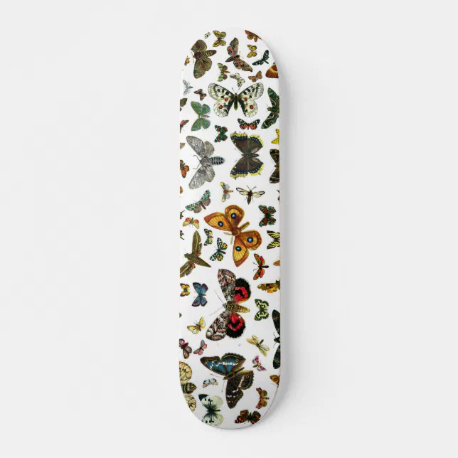 Europe's Best-Known Butterflies and Moths Collage Skateboard Deck | Zazzle
