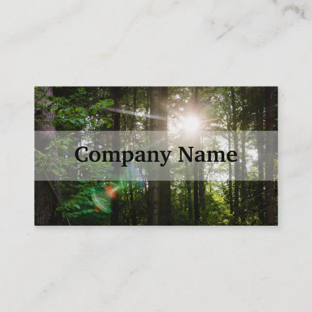 Evening Sunlight In A Forest Landscape Business Card | Zazzle