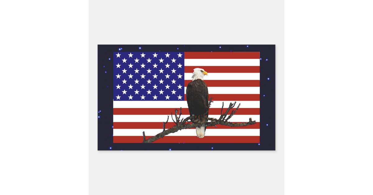 Ever Vigilant Bald Eagle Rectangular Sticker | Zazzle