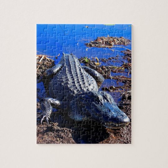 Everglades Alligator Jigsaw Puzzle | Zazzle.com
