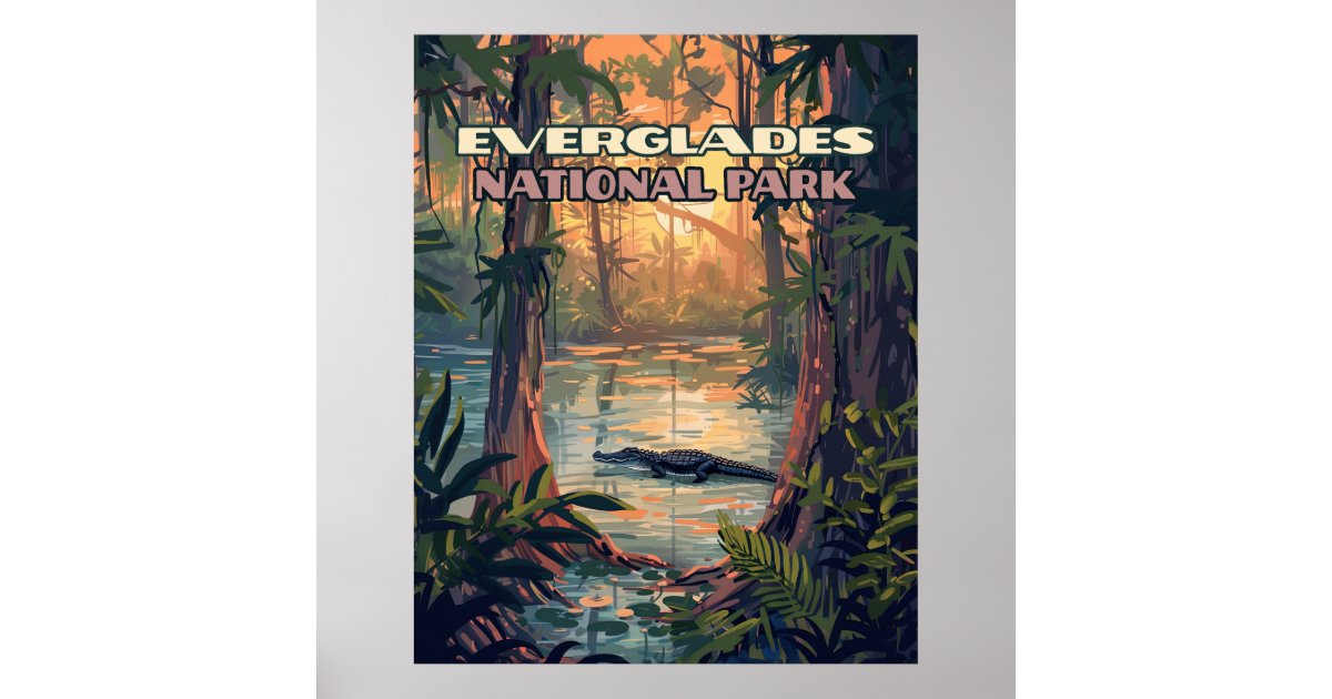 Everglades National Park Alligator Swamp Florida Poster | Zazzle