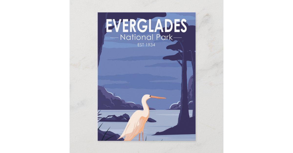 Everglades National Park Night Egret Vintage Postcard | Zazzle