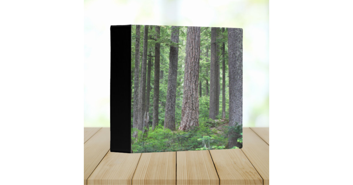 Evergreen Conifer Forest Landscape 3 Ring Binder | Zazzle