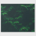 Evergreen tree wrapping paper | Zazzle
