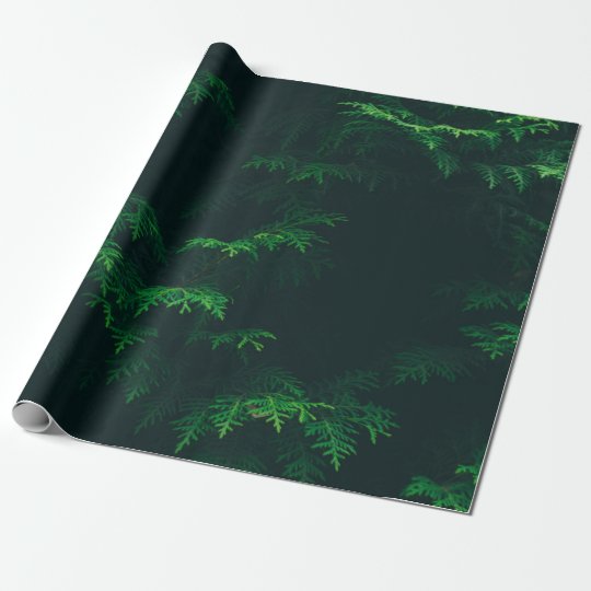 Evergreen tree wrapping paper | Zazzle.com