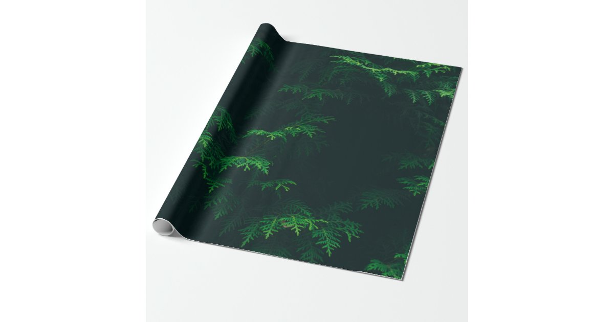 Evergreen tree wrapping paper | Zazzle