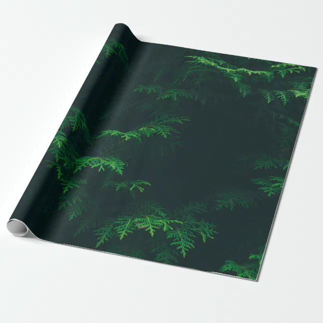 Evergreen tree wrapping paper | Zazzle