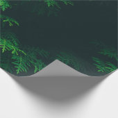 Evergreen tree wrapping paper | Zazzle